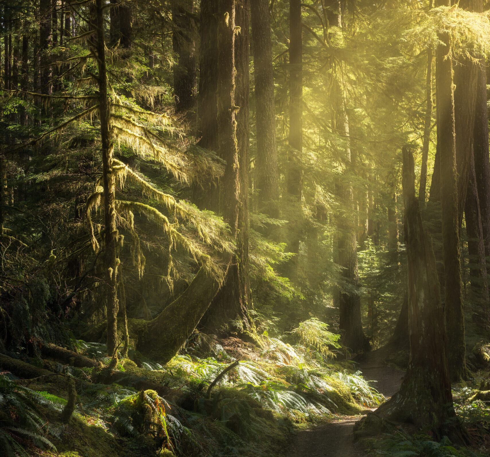 Sustainability - TacoTime NW